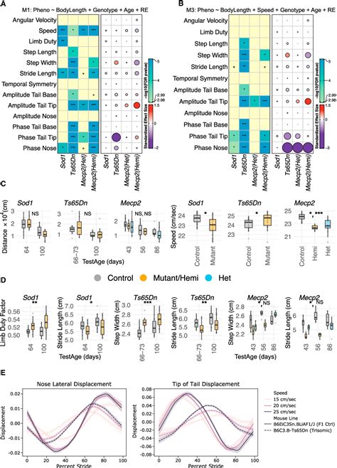 figure 3 from stride level analysis of mouse open field behavior using