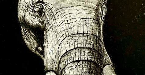 Elephant Imgur Elephant Imgur