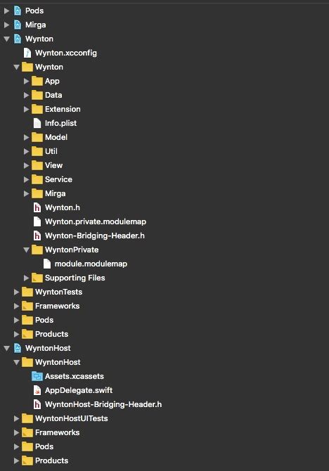 Ios Framework Dependency Could Not Build Objective C Module Stack