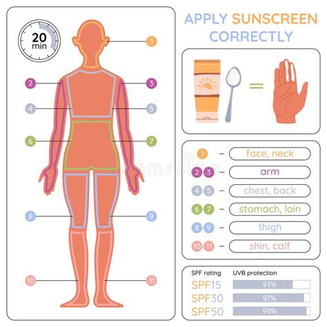 Apply Spf Correctly Infographic About The Correct Way To Apply Sunscreen Stock Vector