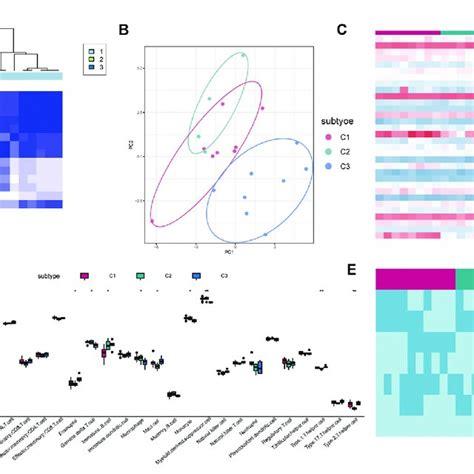 Identification Of Different Pyroptosis Expression Patterns A Heatmap