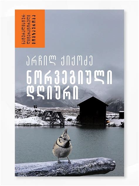 პროზა ქართული ნორვეგიული დღიური