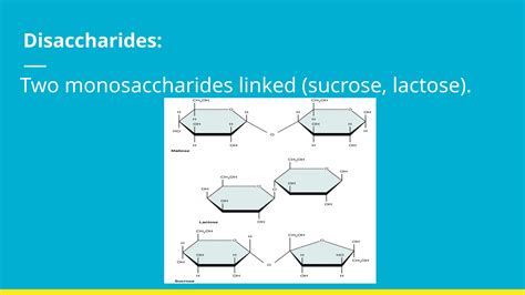 Carbohydrates And Lipids Macromolecules Pptx