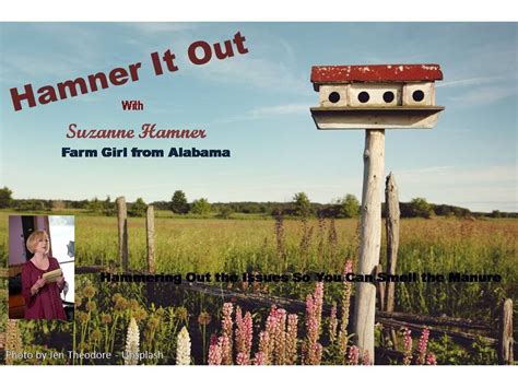 Self Amplifying Modified Mrna Gene Therapy Bioweapons Coming For Bird Flu