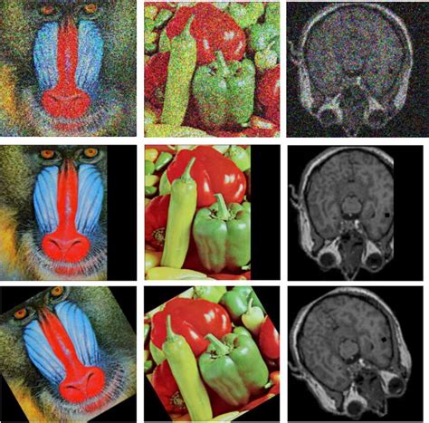 Different Images After Embedding And Rotation Cropping Or Gaussian