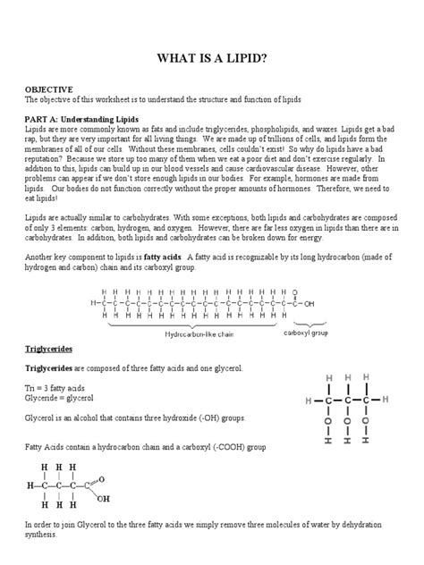 Understanding Lipids An In Depth Exploration Of Lipid Structure And