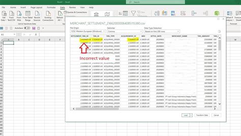 excel shows incorrect cell value when it opens a csv r excel
