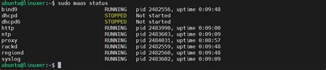 How To Install MAAS On Ubuntu LinuxWays