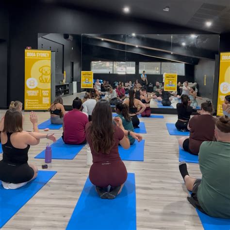 Puppy Yoga In Parramatta Relax And Play With Puppies Doga Sydney