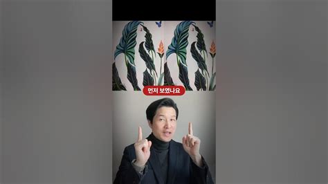 어떤 형태가 먼저 보였나요 성격테스트 심리테스트 성격분석 착시현상 Youtube