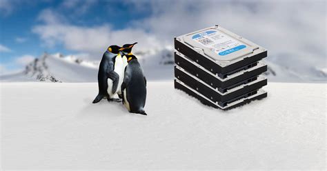 How To Configure A Raid Hdd Array In Linux