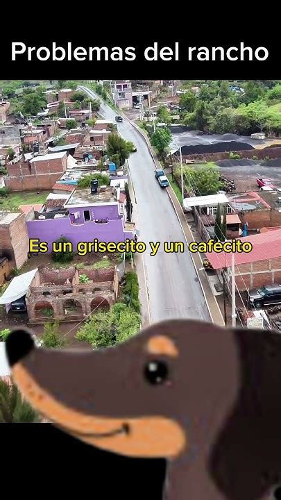 Problemas Del Rancho 19 Humor Reels Stories Foryourpage Tiktok