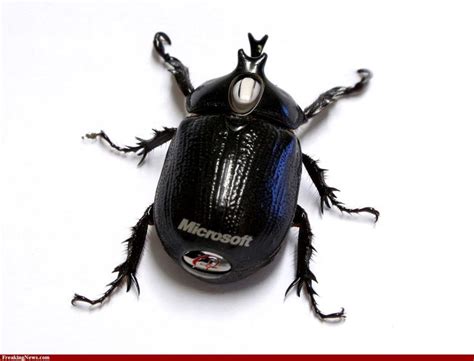Cordless Beetle Computer Mouse