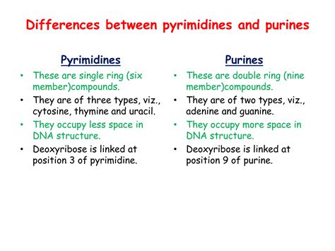 dna structure and function pptx
