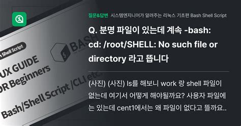 분명 파일이 있는데 계속 bash cd root shell 인프런 커뮤니티 질문and답변