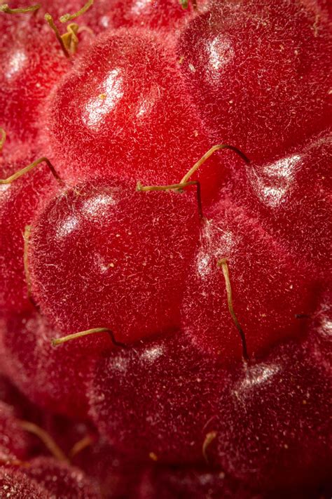 This Raspberry Pi Pico Game Totally Slaps Rtomshardware