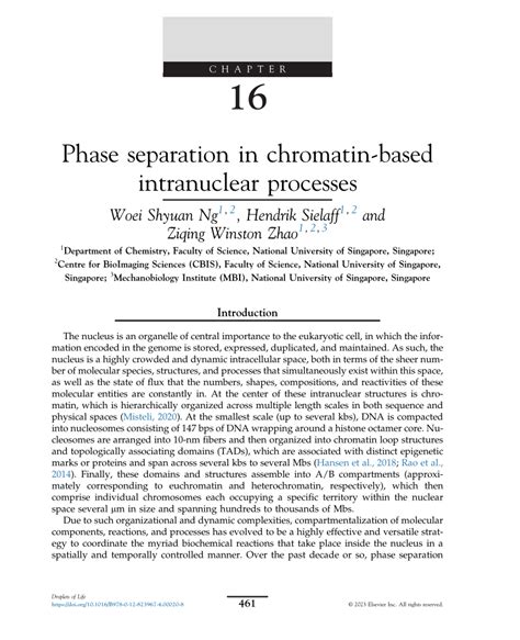 Pdf Phase Separation In Chromatin Based Intranuclear Processes