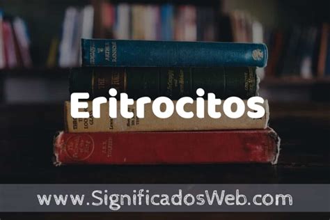 Concepto De Eritrocitos ️¿que Es Definición Y Significado