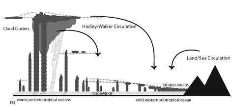 clouds and convection geophysical fluid dynamics laboratory