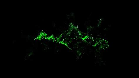 Green Gorgeous Light Particle Background Animation Youtube