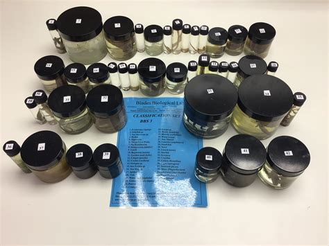 Classification Set Blades Biological Ltd Kent