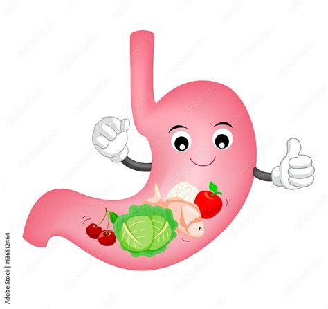 Cute Cartoon Stomach Character Healthy Food Eating Concept