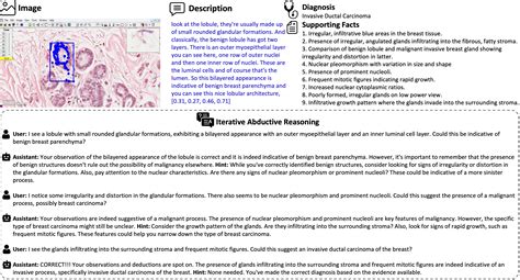 Wisdomik QUILT LLaVA Instruct K Datasets At Hugging Face