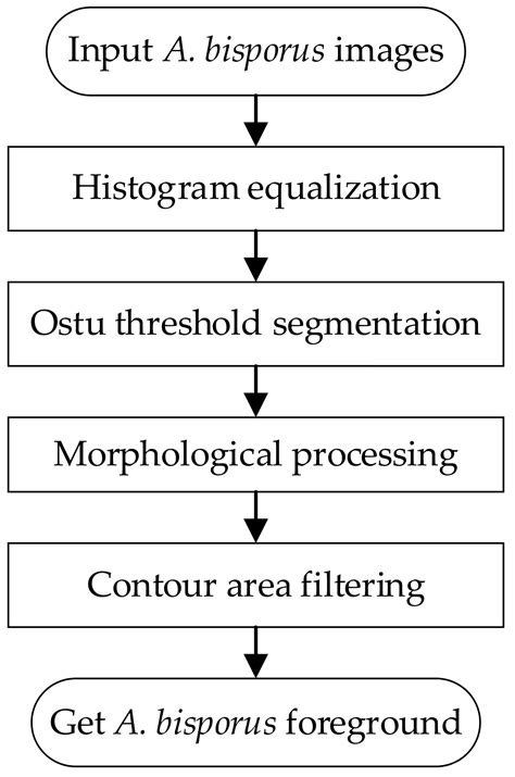 Agronomy Free Full Text A Novel Segmentation Recognition Algorithm