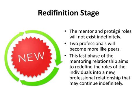 Developing Mentoring Program PDF