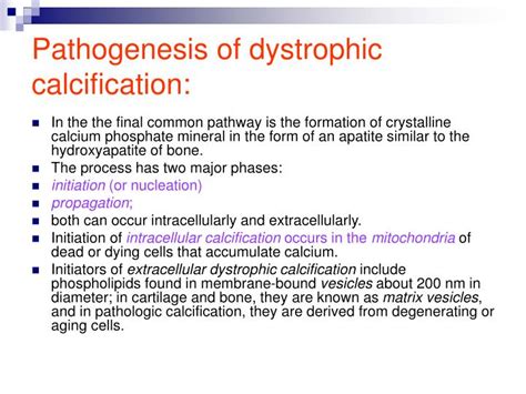 Ppt Pathologic Calcification Powerpoint Presentation Id 3545884