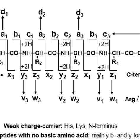 Schematic View Of The Axima Tof 2 Maldi Tof Rtof Instrument