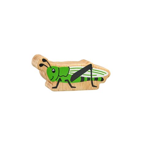 Grasshopper Frankies Toybox