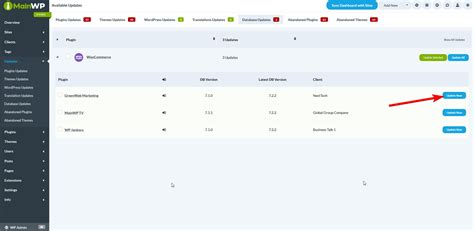 Database Updater Mainwp Wordpress Management