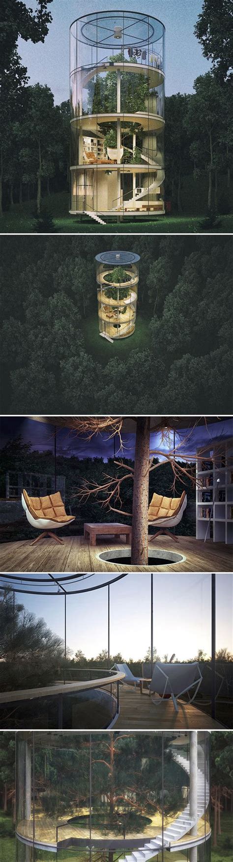 Conceptual Tubular Glass House By Kazakh Architect Aibek Almassov Wraps Around A Mature