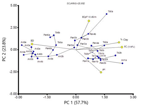 Minimum Path Tree An Annual Grassland Pan Vine Mesquite Tb Download Scientific Diagram