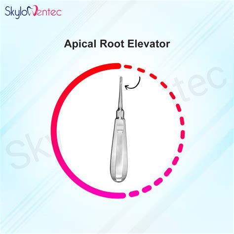 Apical Root Elevator Skyloc Dentec