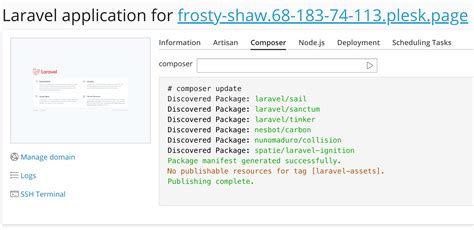 Laravel Application Hosting In Plesk Plesk