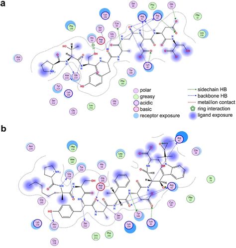 Peptide Protein Interactions For The Original And Finally Accepted Peptide Protein Interactions For The Original And Finally Accepted