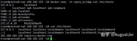 Docker网络模式 知乎