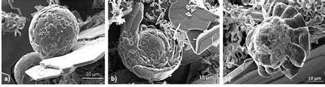 SEM Images Of Graphite Growing Out Of Ni 3 C Melts 4 A Spheroidal Download Scientific
