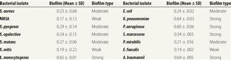 Screening Of The Bacterial Biofilm Forming Isolates And Measuring The Download Scientific