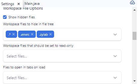 Advanced Labs Workspace Settings ZyBooks Help Center
