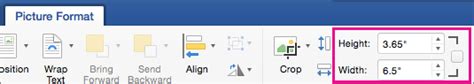 Change The Size Of A Picture Shape Text Box Or WordArt In Word Microsoft Support