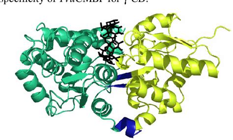 Figure 1 From Crystal Structure Of Cyclomaltodextrin Binding Protein