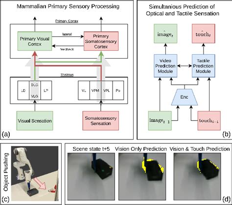 Combining Vision And Tactile Sensation For Video Prediction Paper And Code Catalyzex