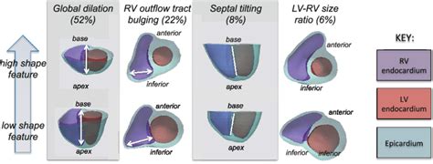 The First Four Pca Shape Modes Accounting For 90 Of The Shape