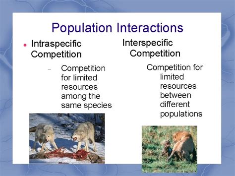 Population Growth And Interaction Biotic Potential Highest Possible