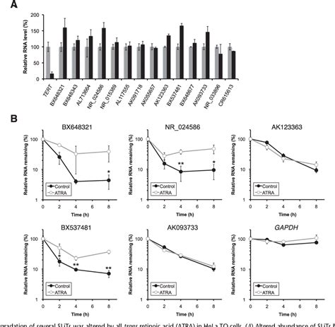 Figure From Genome Wide Determination Of RNA Stability Reveals Hundreds Of Short Lived