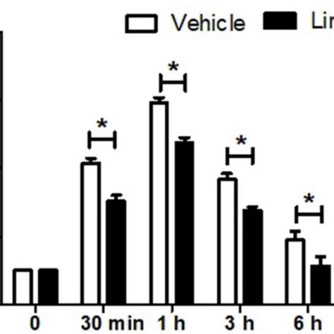 Effect Of Liraglutide On Hr Induced Cytotoxicity H9c2 Cells Were Download Scientific Diagram