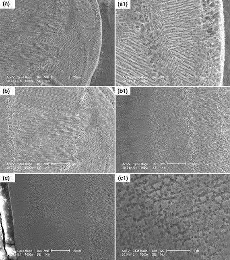 Typical Solidification Structure Observed A A Near The Interface Download Scientific